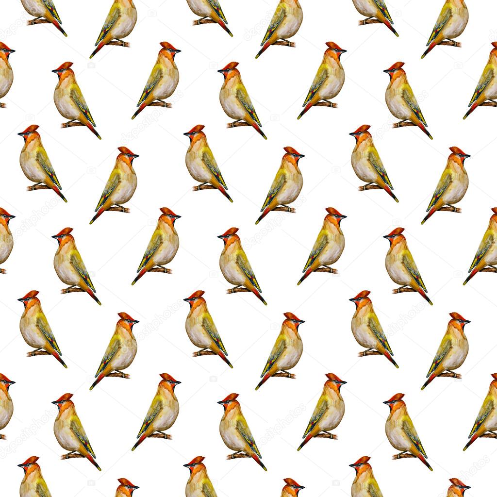 Cute birds background — Stock Photo © Oksana #58206301