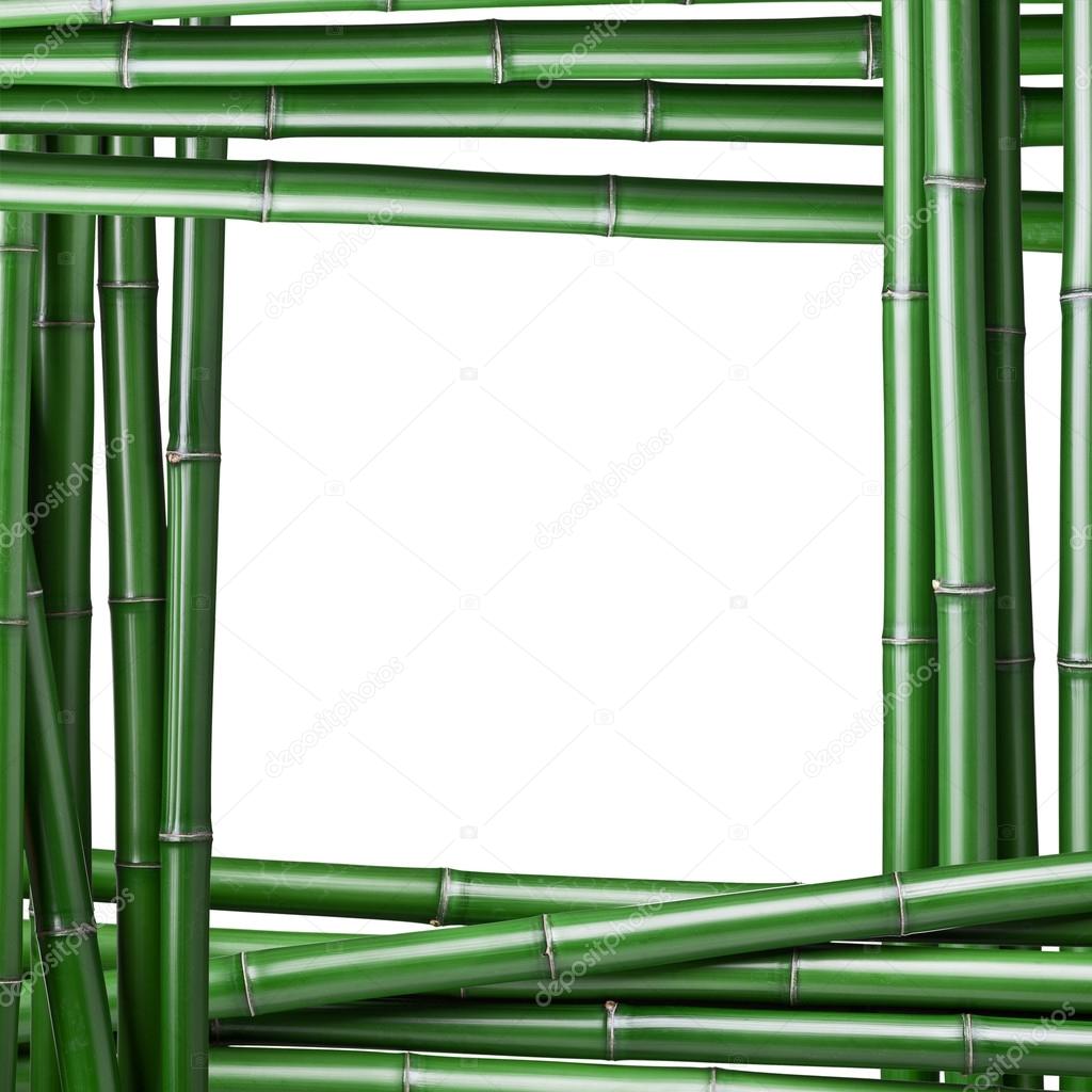 Real Bamboo Frame