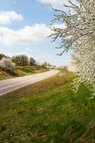 Spring country road Stock Photos, Royalty Free Spring country road ...