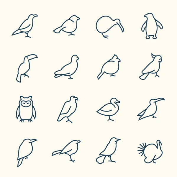 Set of linear drawing birds — Stock Vector © TopVectors #76028575