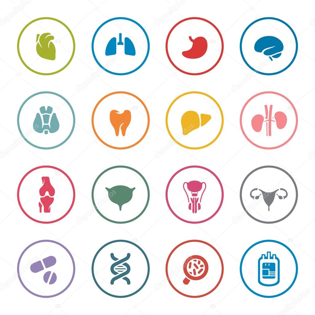 Human Organs Icon Set Stock Vector Image By ©missbobbit 61880197