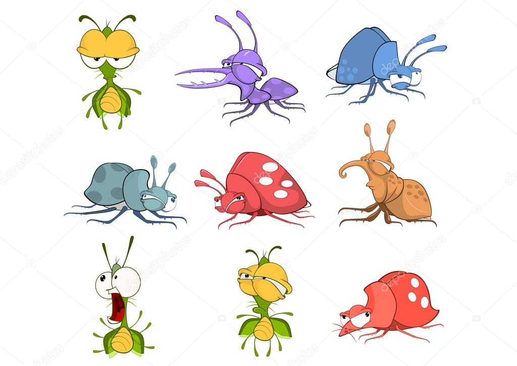 Insectos Animales Bicho Gracioso