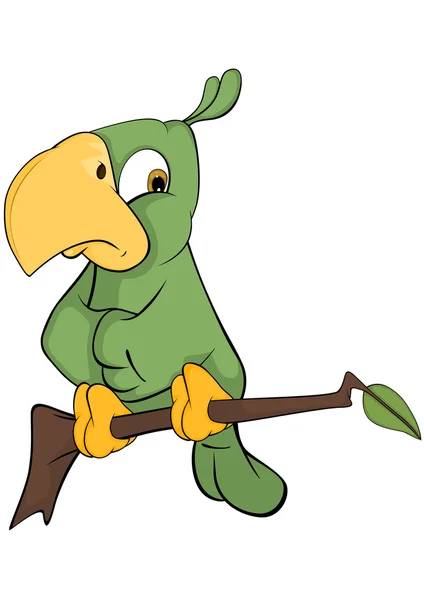 ᐈ Pericos bird stock vectors, Royalty Free perico illustrations ...