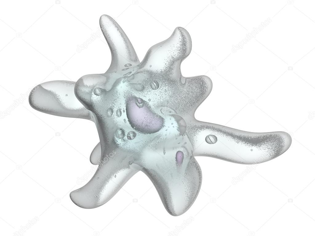 Amoeba protozoa — Stock Photo © wir0man #69791487