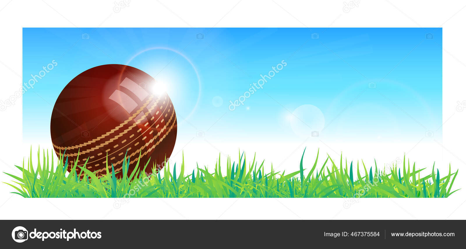 Cricket Ball Background Grass Sky Vector Illustration Stock Vector ...