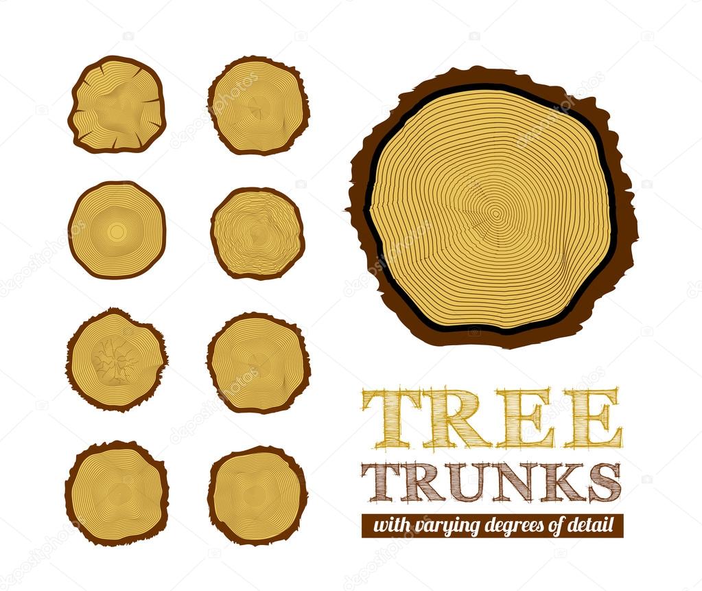Cross section of the trunk, vector illustration Stock Vector Image by ...