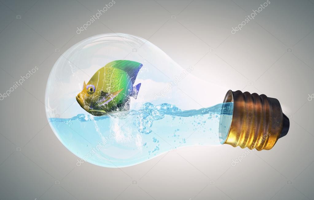 Exotic fish in bulb Stock Photo by ©SergeyNivens 101673640