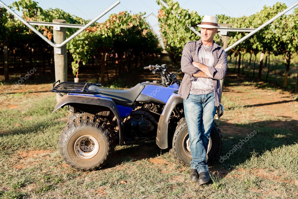 Man standing next to truck in vineyard Stock Photo by ©SergeyNivens ...