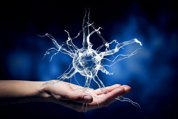 Neurology study Stock Photos, Royalty Free Neurology study Images ...