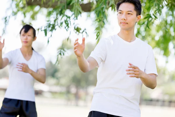 Thai chi Stock Photos, Royalty Free Thai chi Images | Depositphotos