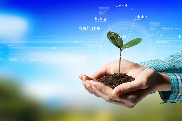 Nature and technology interaction Stock Photo by ©SergeyNivens 110456024
