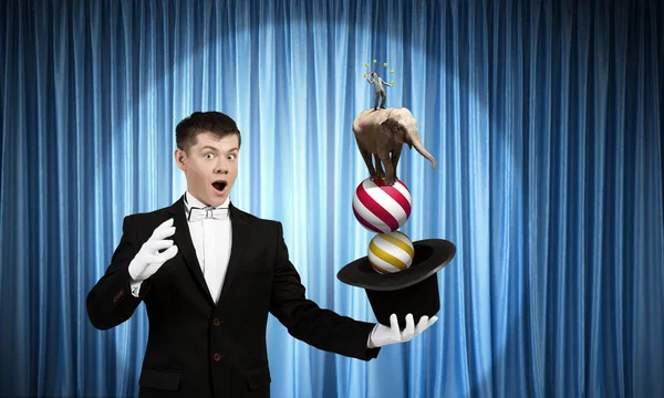 Magic hat Stock Photos, Royalty Free Magic hat Images | Depositphotos