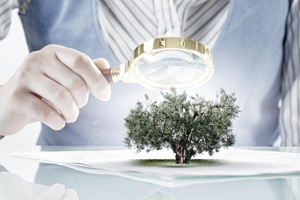 Person using magnifier for exploration — Stock Photo © SergeyNivens ...