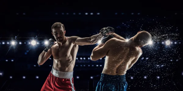 Boxers fighting Stock Photos, Royalty Free Boxers fighting Images ...