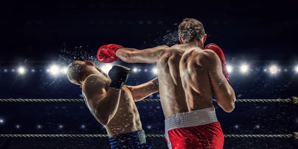 Boxers Stock Photos, Royalty Free Boxers Images | Depositphotos