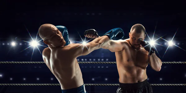 Boxers fighting Stock Photos, Royalty Free Boxers fighting Images ...
