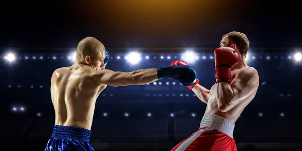 Boxing Knockout Wallpaper