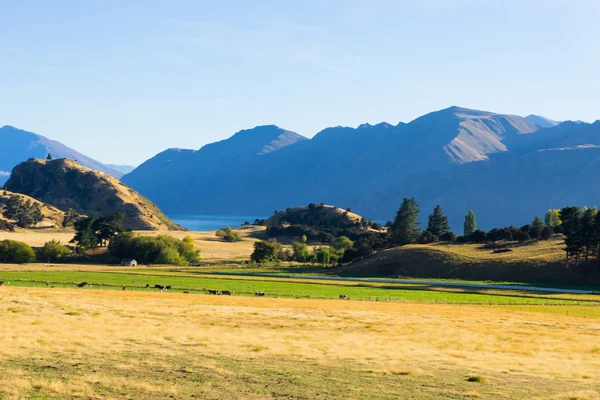 New zealand countryside Stock Photos, Royalty Free New zealand ...