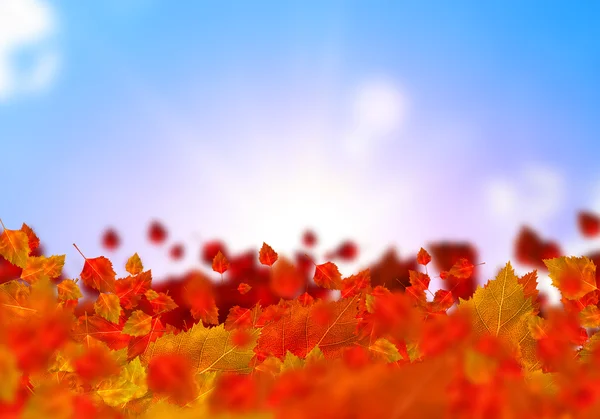 Realistic fall background Stock Photos, Royalty Free Realistic fall ...