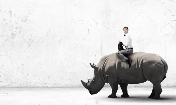 17 Man ride rhino Stock Photos, Man ride rhino Images | Depositphotos®