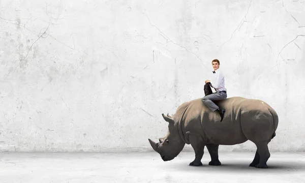 17 Man ride rhino Stock Photos, Man ride rhino Images | Depositphotos®
