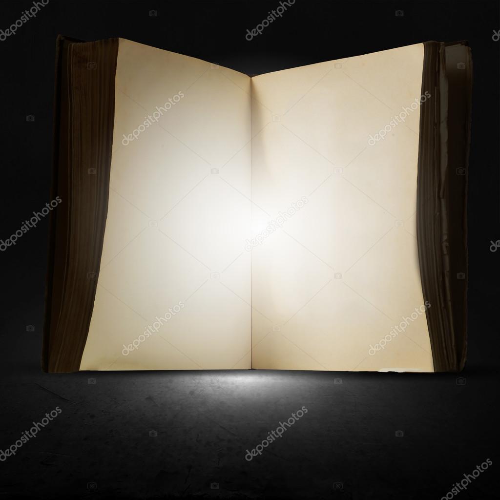Opened book — Stock Photo © SergeyNivens #83455274
