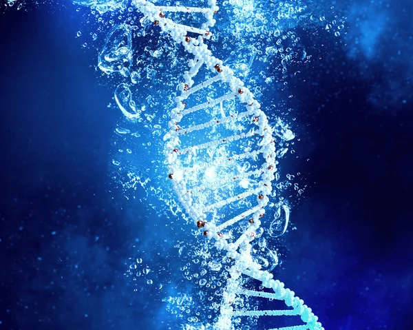 Water and dna Stock Photos, Royalty Free Water and dna Images ...