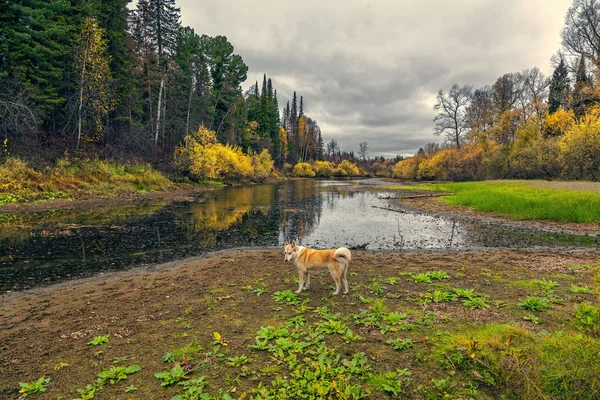 Hunting grounds Stock Photos, Royalty Free Hunting grounds Images ...