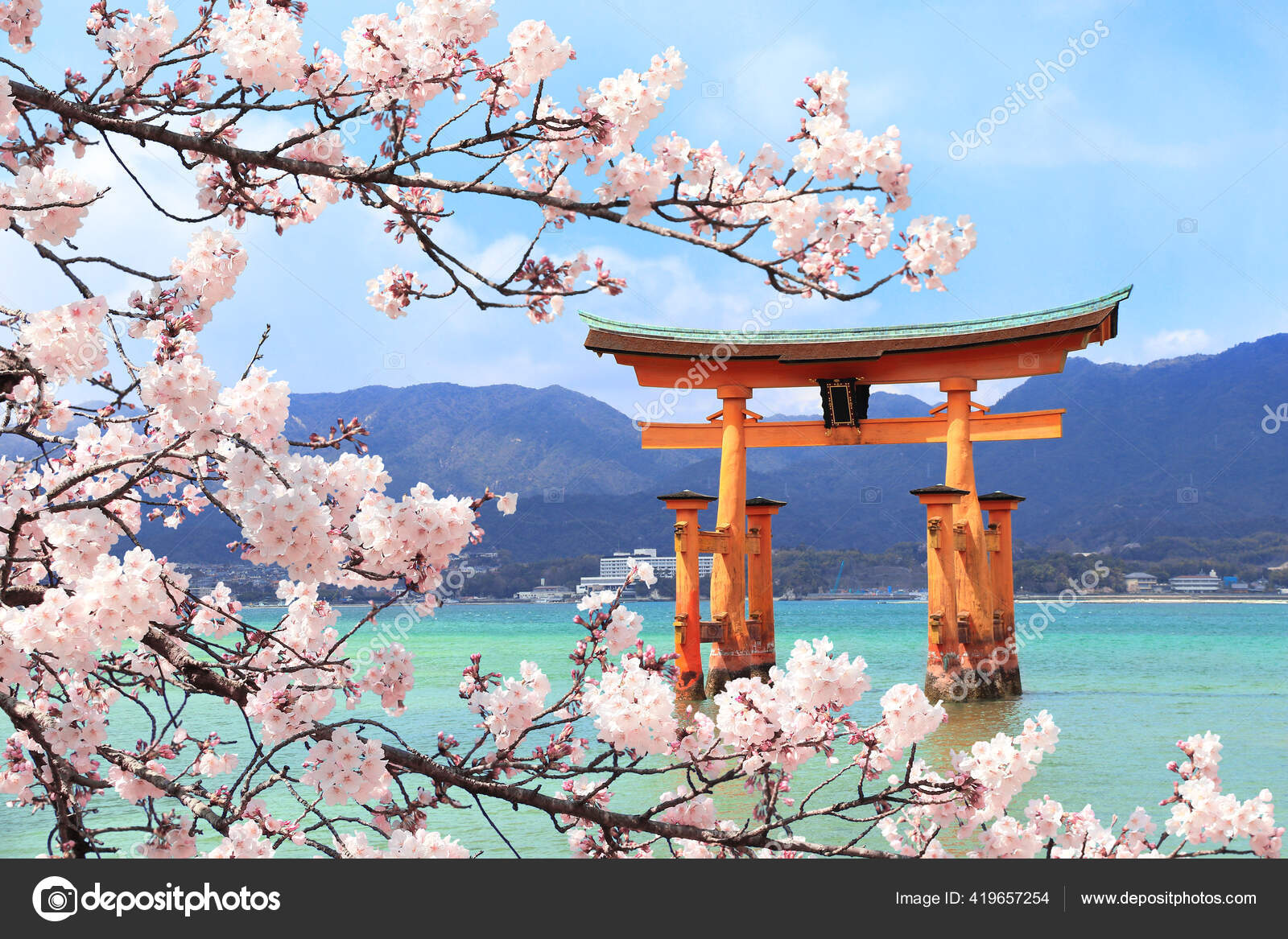 Floating Torii Gate Torii Branch Blossoming Sakura White Flowers ...
