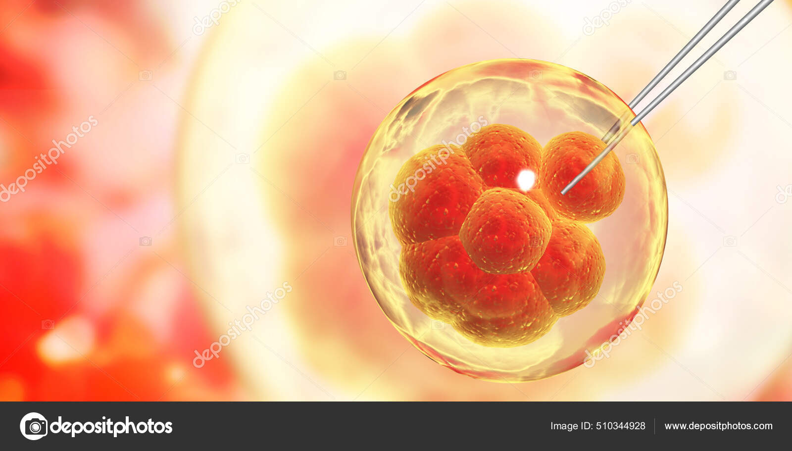 Genetic Engineering Gmo Gene Manipulation Concept Tech Technology Field ...