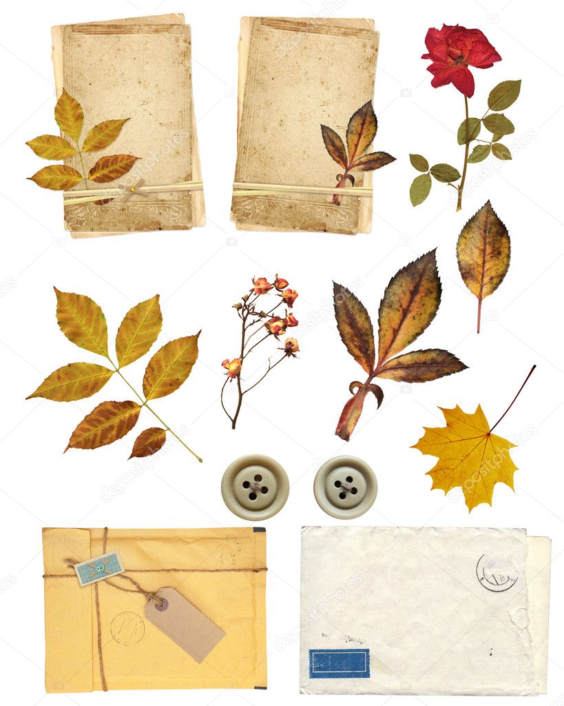 Collection elements for scrapbooking Stock Photo by ©frenta 59521057