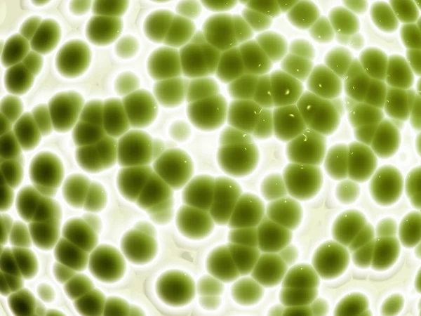 Organic cell Pictures, Organic cell Stock Photos & Images | Depositphotos®