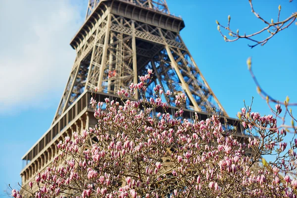 Spring in Paris Stock Photo by ©encrier 24940013