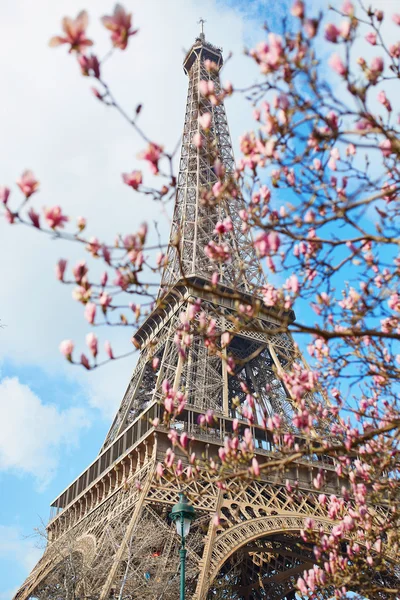 Spring in france Pictures, Spring in france Stock Photos & Images ...