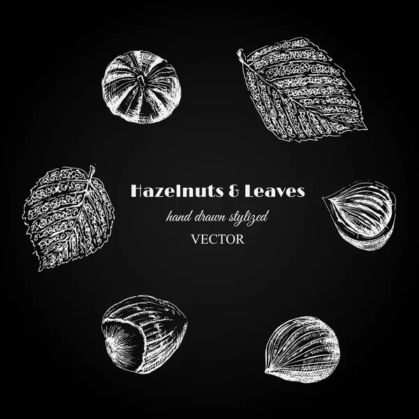 Seamless Nature Pattern Hazelnuts And Fallen Leaves Ink Drawing Stock Vector Image By ©darts