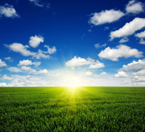 Field and sun — Stock Photo © Serg64 #2879918