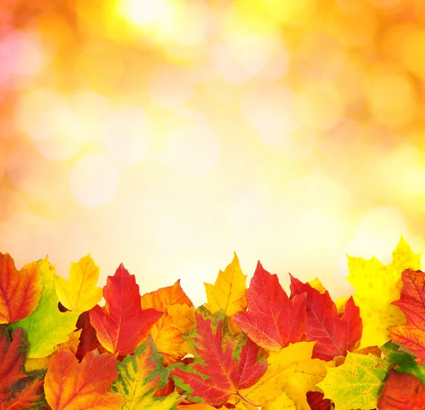 Fall leaves border Stock Photos, Royalty Free Fall leaves border Images ...