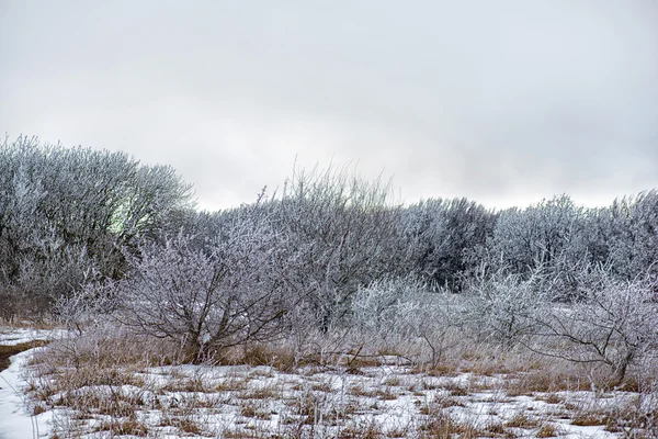 Kansas winter landscape Stock Photos, Royalty Free Kansas winter ...