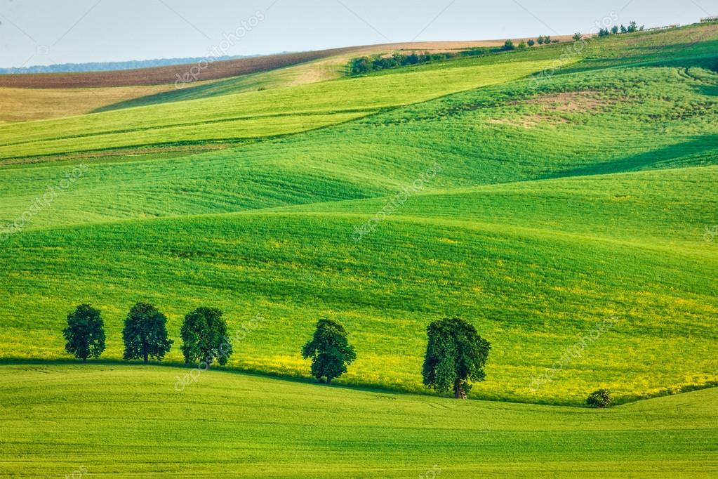 Rolling landscape of South Moravia with trees. Stock Photo by ...