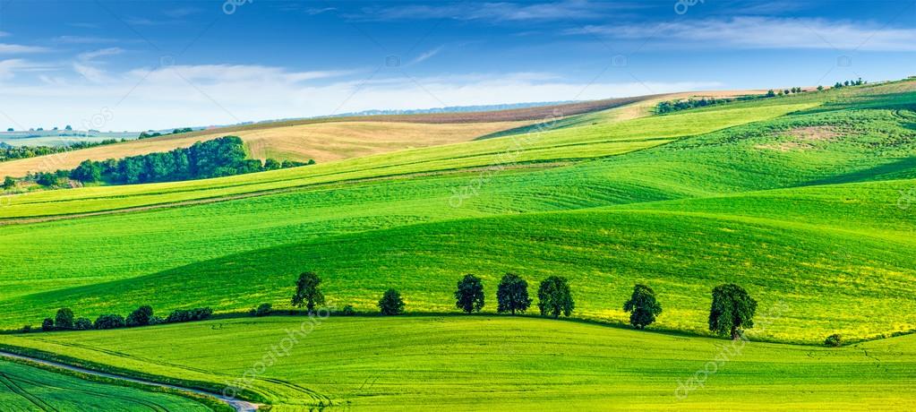 Rolling landscape of South Moravia with trees. — Stock Photo ...