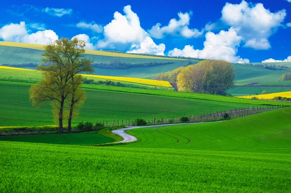 Beautiful land Stock Photos, Royalty Free Beautiful land Images ...