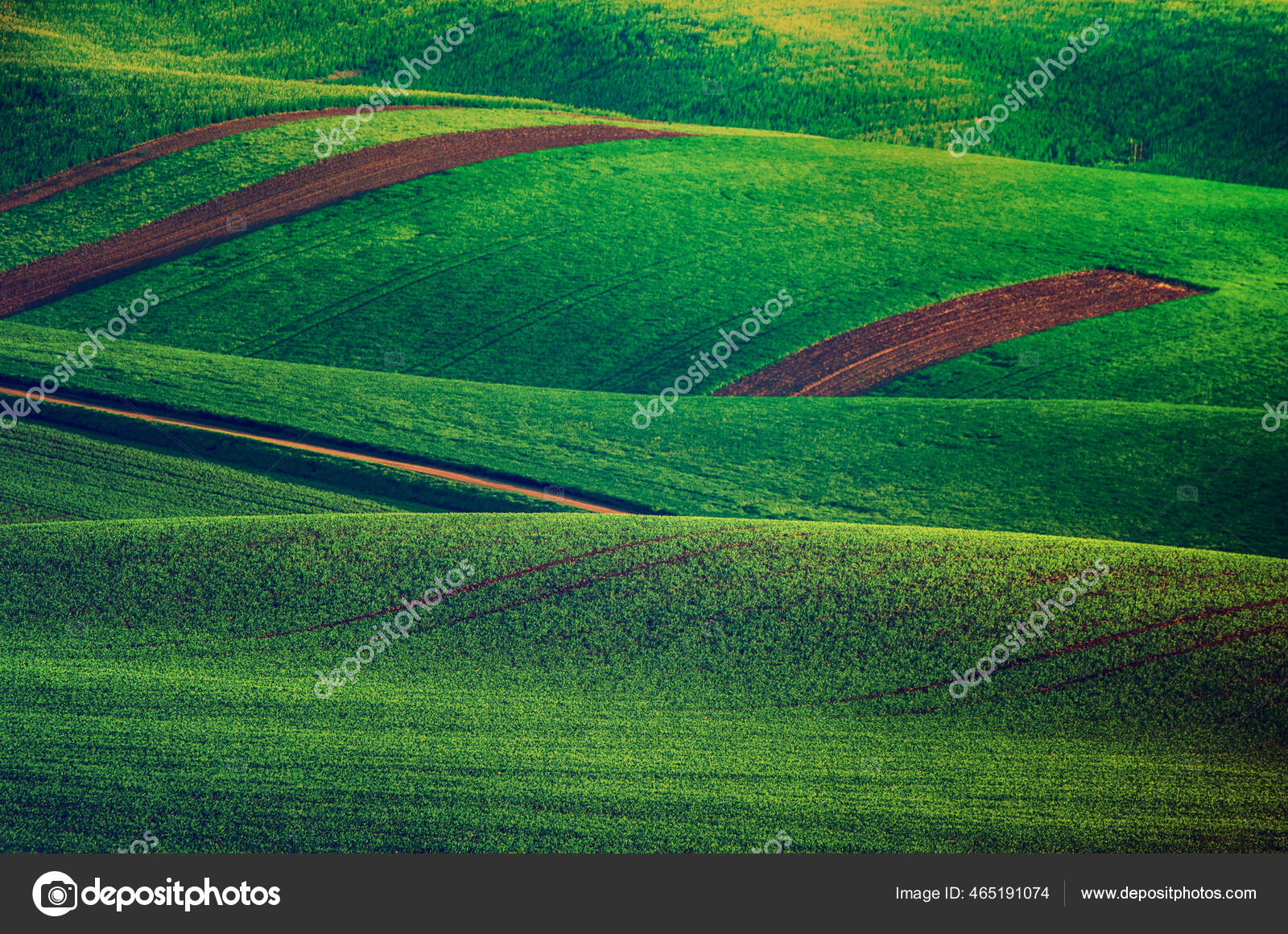 Fondo de campo de hierba verde: fotografía de stock © Roxana #465191074 ...