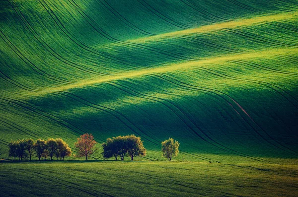 Mystical field Stock Photos, Royalty Free Mystical field Images ...