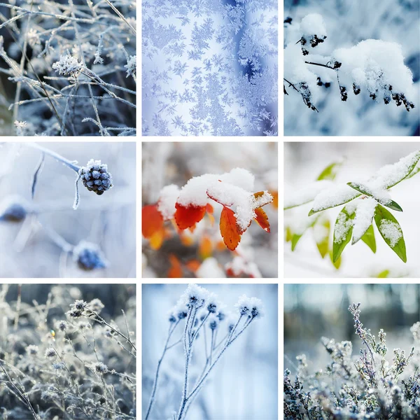 Winter Collage Stock Photo by ©icefront 5592262