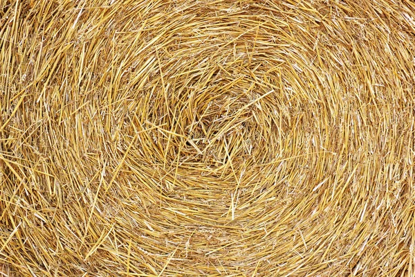 Hay texture Stock Photo by ©borismrdja 2209090