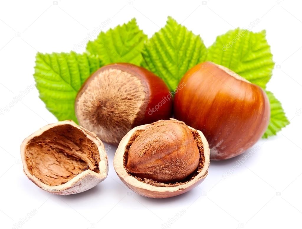 Filbert nuts with leaf Stock Photo by ©margo555 105272826