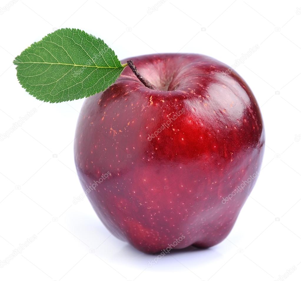 Single Fruit Apple