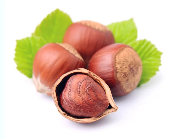 Filbert nuts with leaf Stock Photo by ©margo555 109251350