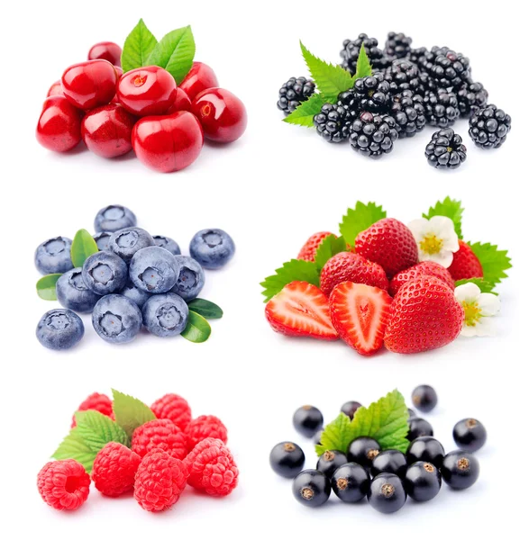 Piles of various berries — Stock Photo © VadimVasenin #162001068