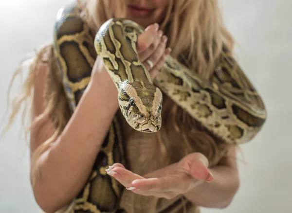 Woman and snake Stock Photos, Royalty Free Woman and snake Images ...